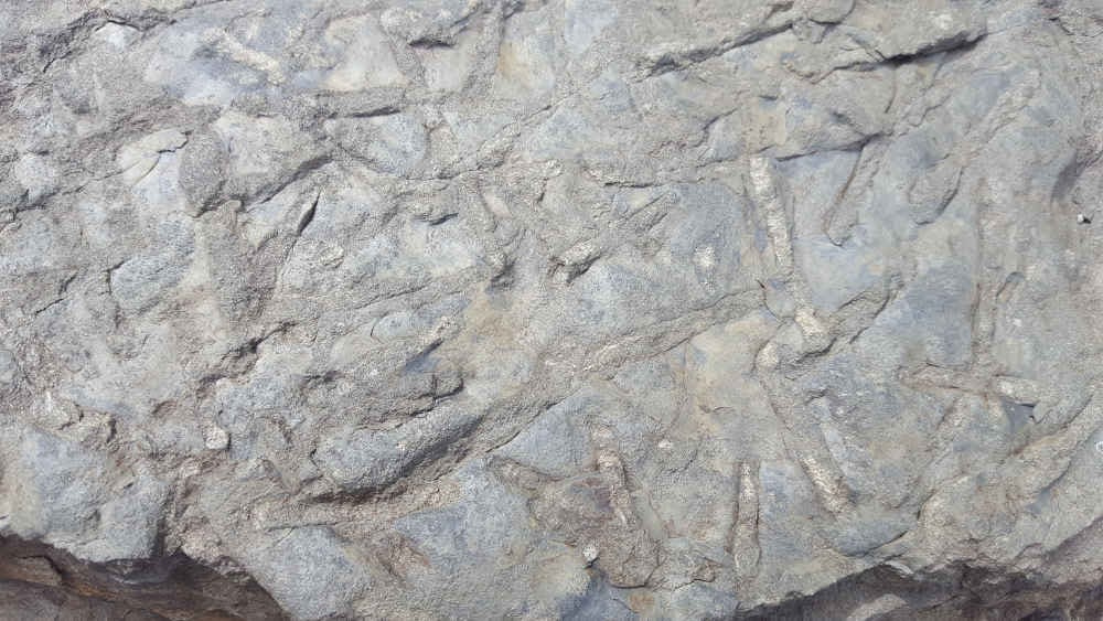 Geology of New York State – Snedeker Science