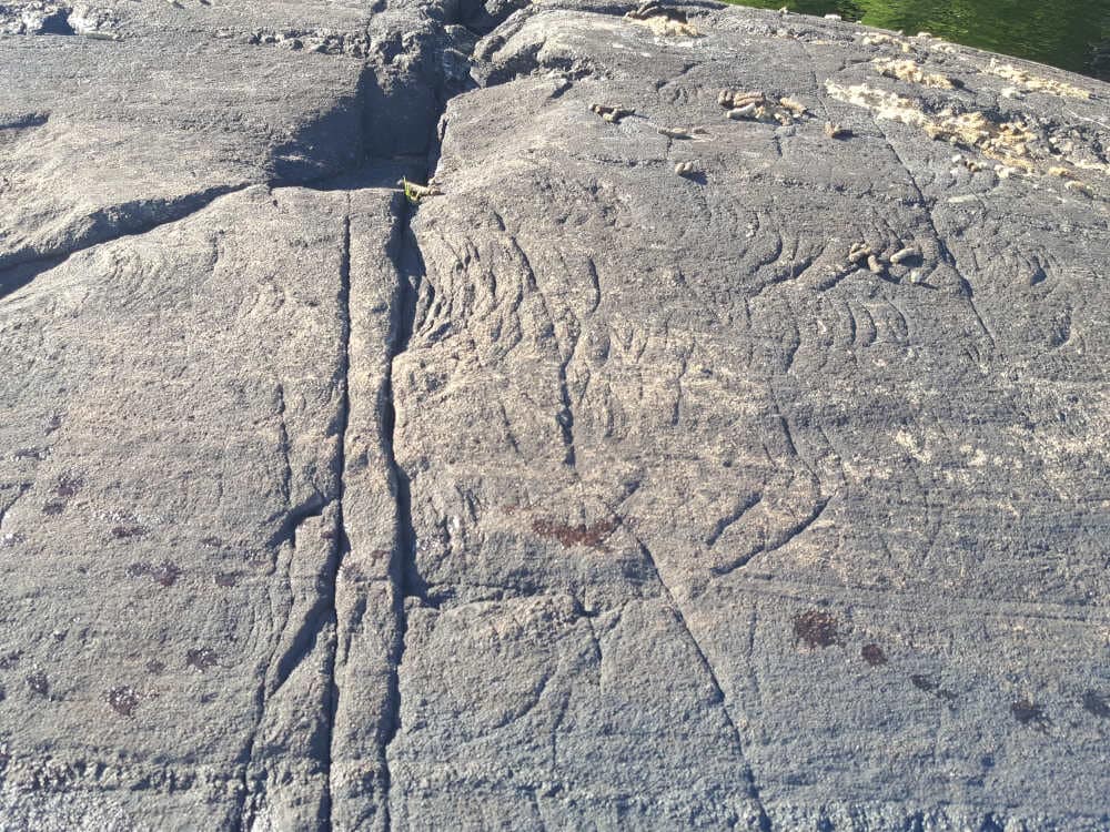 Geology of New York State – Snedeker Science